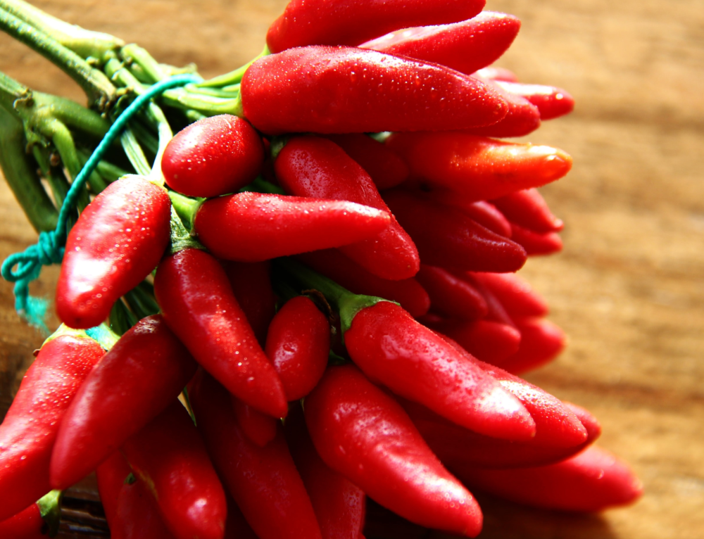 All About African Bird's Eye Peppers | Magic Plant Farms