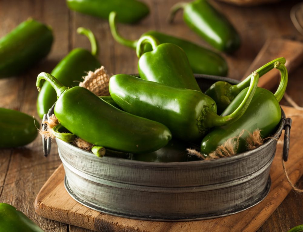 All About African Bird's Eye Peppers | Magic Plant Farms