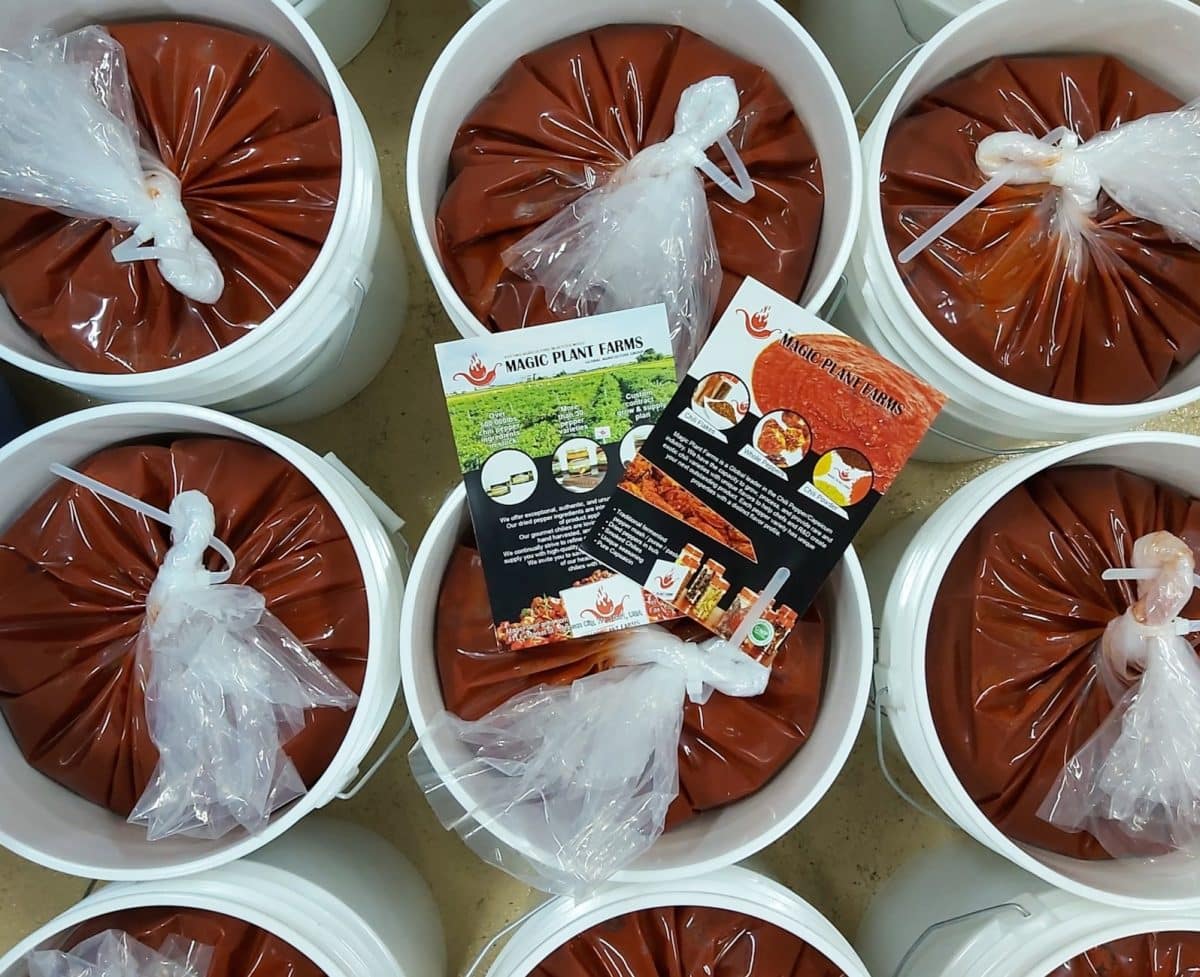 Scoville Scale Complete Guide | Magic Plant Farms