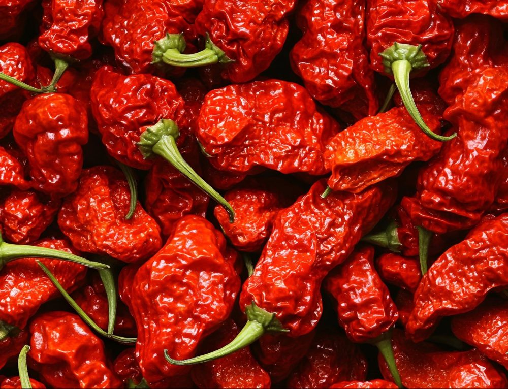 What to Do with Ghost Peppers: Creative Ways to Use This Superhot Chili ...