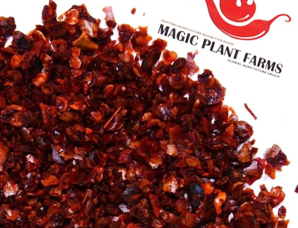 African Bird’s Eye Chili: The Small Pepper Making a Big Impact in ...